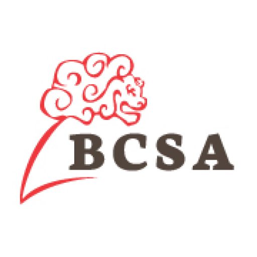 cropped-BCSA_Logo_small-1.jpg | Bocconi Chinese Student Association